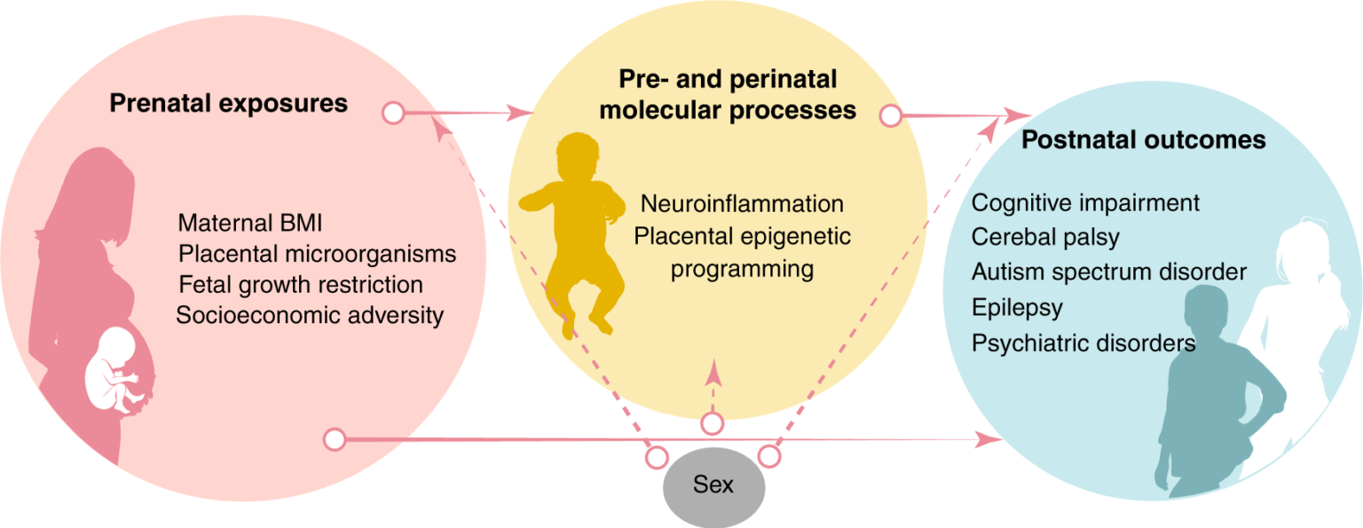 Perinatal Factors and Emotional, Cognitive, and Behavioral ...